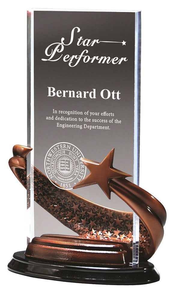 Bronze Brilliance Star Award/Clear Rectangle – BJs Trophy